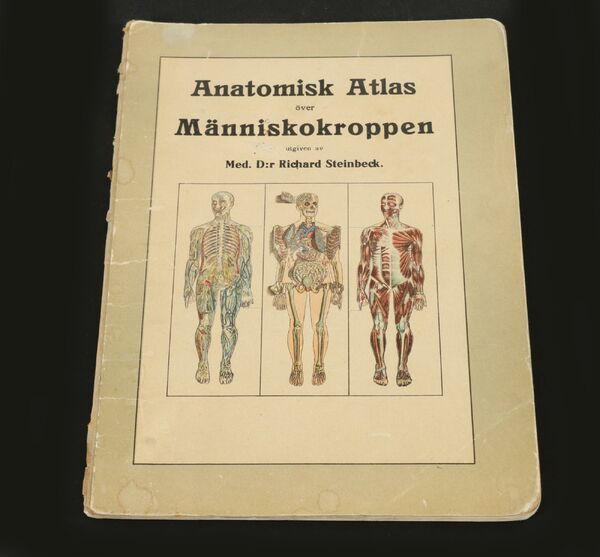 Slutpris för Anatomisk väggtavla över människokroppen, äldre