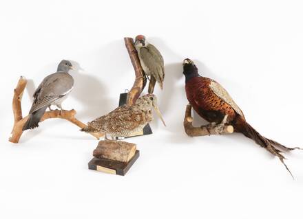 Slutpris för Parti uppstoppade fåglar, 7 st