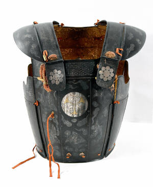 Slutpris för JAPANESE BREAST AND BACKPLATE