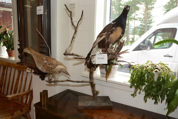 Slutpris för Parti uppstoppade fåglar, 7 st